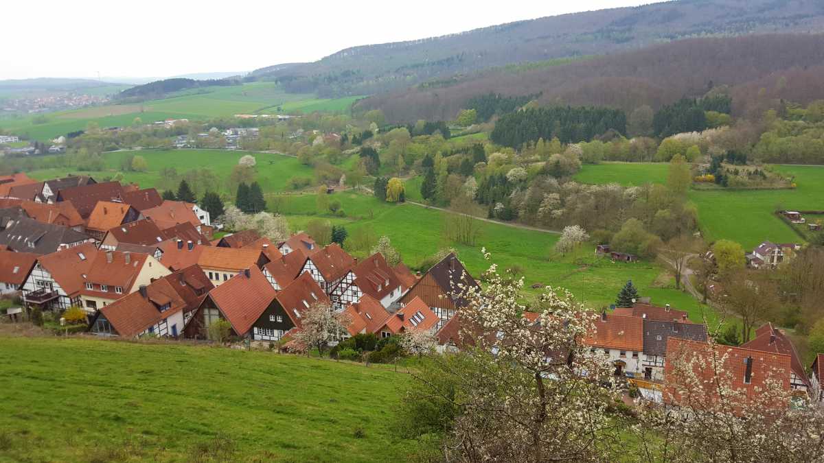 Schwalenberg, Where the Swallows Soar and Artists Thrive (2025)