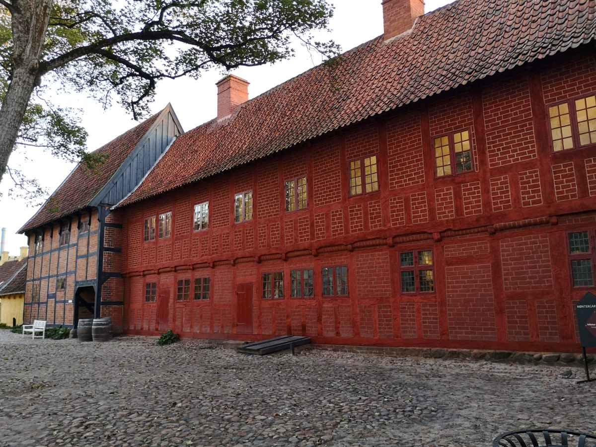 Hans Christian Andersen in Odense - Following his Trail in 2025