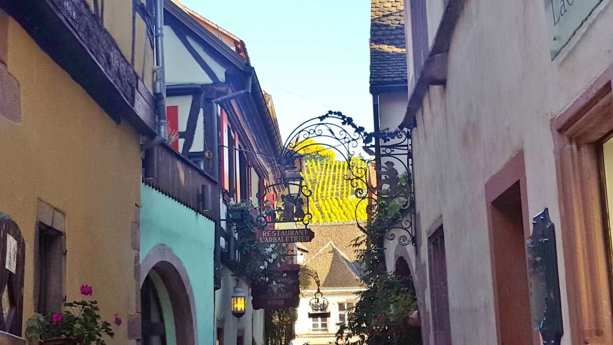 Colmar or Riquewihr? Visit the Alsace Wine Route Gems in 2024