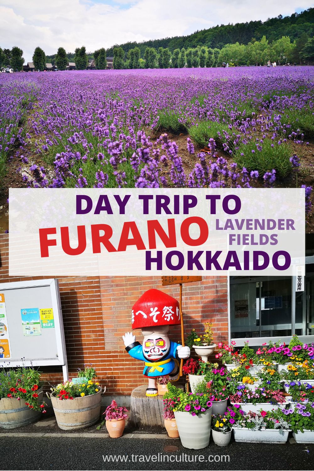 Furano, Hokkaido Japan – Lavender Fields & Train Guide
