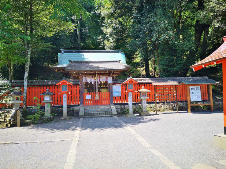 Arashiyama Bamboo Grove, Kyoto Forest, Tenryuji Temple (2025)