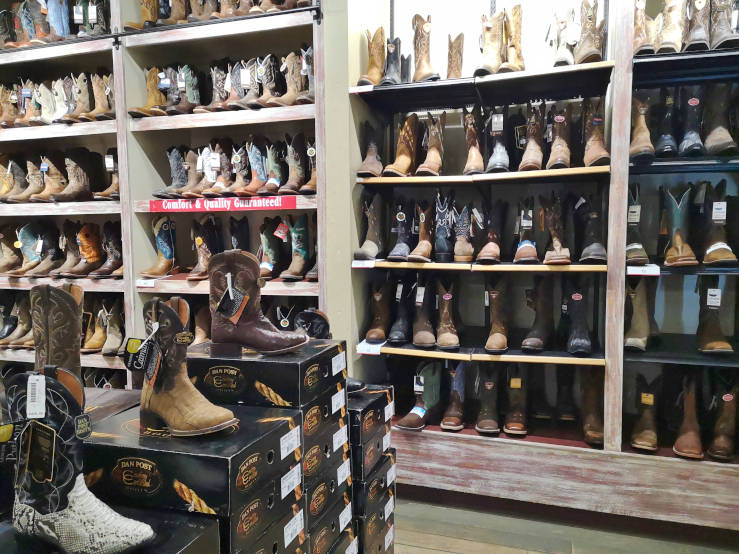 5 Unique Things to Do in Calgary – A Culture Travel Guide